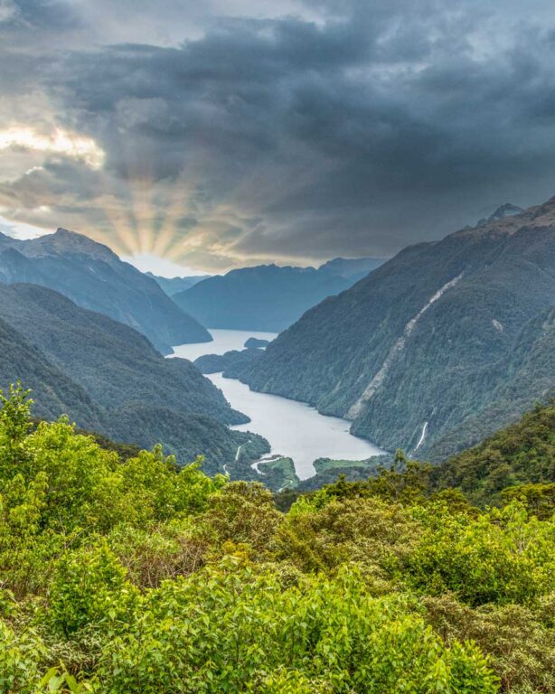 12 Things to KNOW Before Booking a Doubtful Sound Overnight Cruise