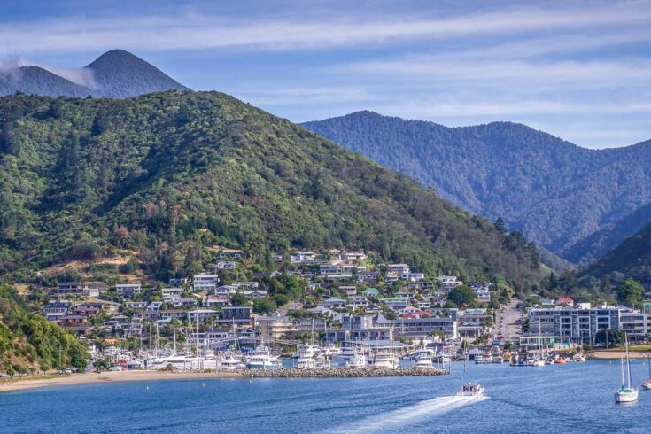 10 Things to KNOW Before Visiting the Marlborough Sounds (My Top Tips!)