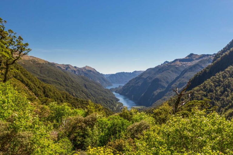 5 BEST Doubtful Sound Cruises and Tours (that You Can't Miss in 2026 ...