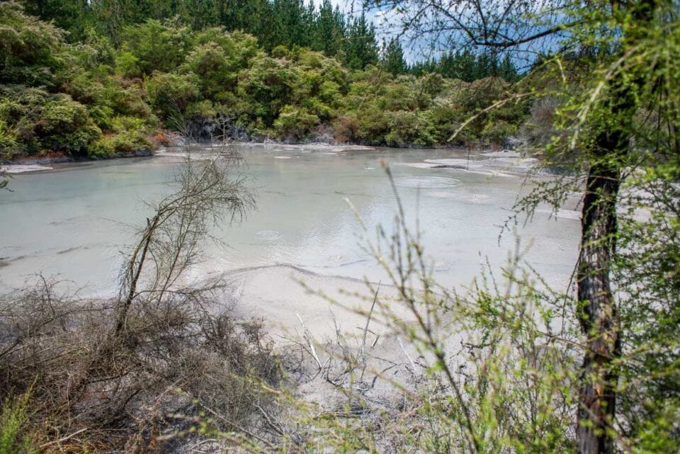 17 Best Stops on the Drive from Taupo to Rotorua
