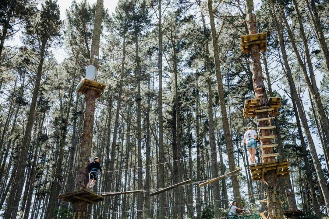 13 BEST Stops on the Drive from Auckland to Rotorua