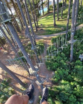 17 BEST Stops on the Taupo to Wellington Road Trip - My Queenstown Diary