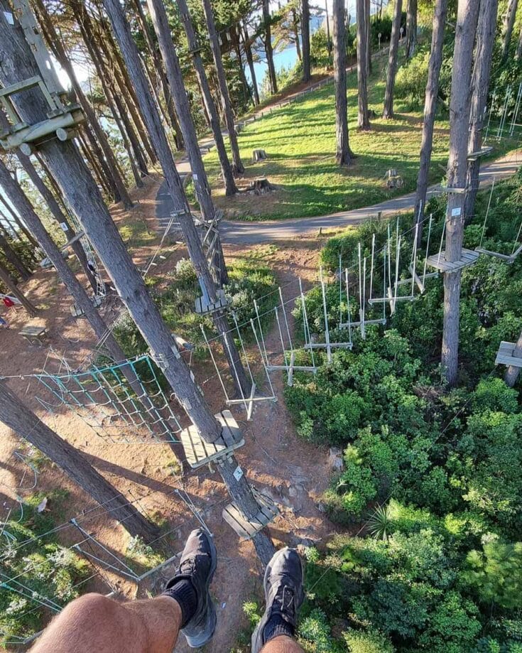 17 BEST Stops on the Taupo to Wellington Road Trip - My Queenstown Diary