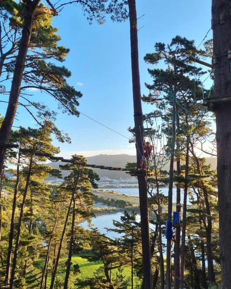 15 BEST Places to go Ziplining in New Zealand (+ My Favorite Tours!)