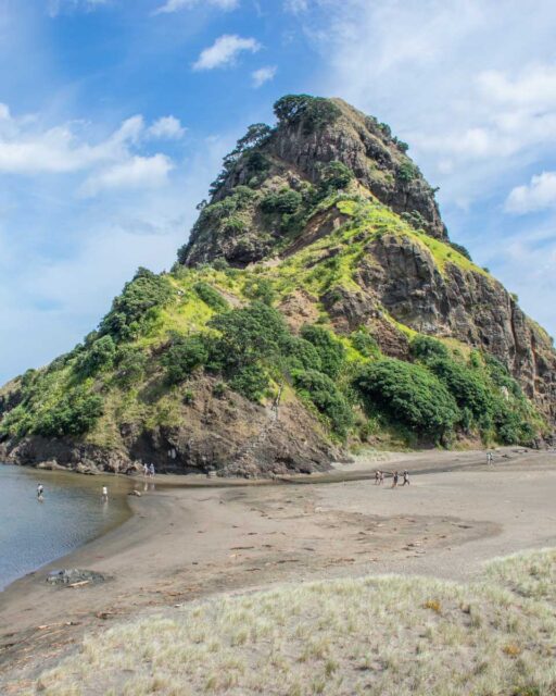 10 BEST Tours in Auckland, New Zealand +My Personal Top Choice