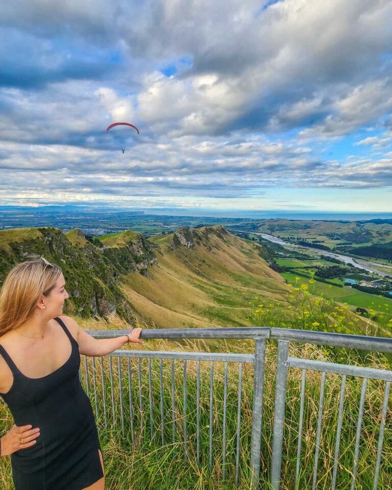 6 BEST Wine Tours in Napier +My Personal Review - My Queenstown Diary