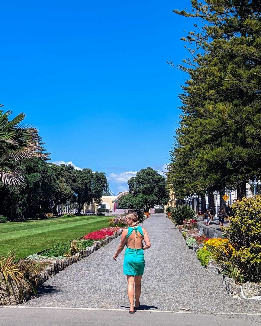 12 BEST Stops between Napier and Wellington - My Queenstown Diary