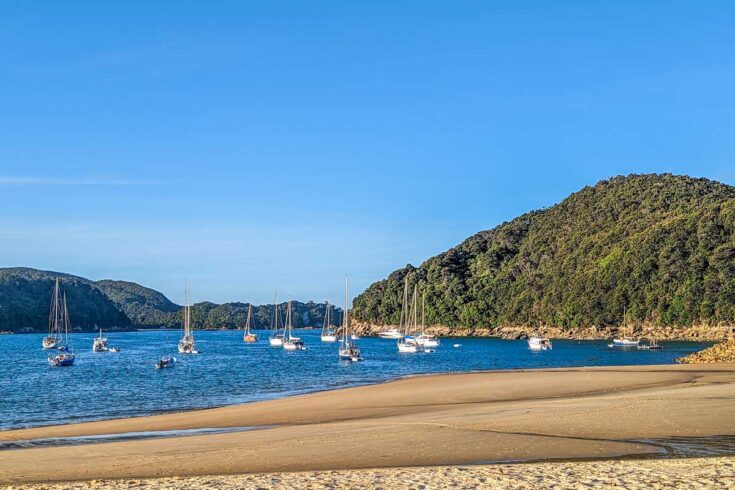 18 Things to KNOW Before Visiting Abel Tasman National Park (2026 Guide!)