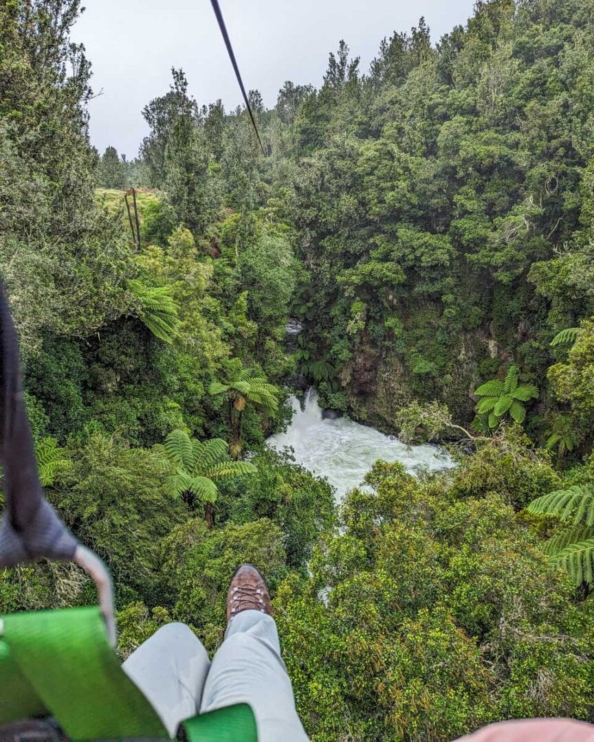 3 BEST Ziplining Tours in Rotorua - My Queenstown Diary
