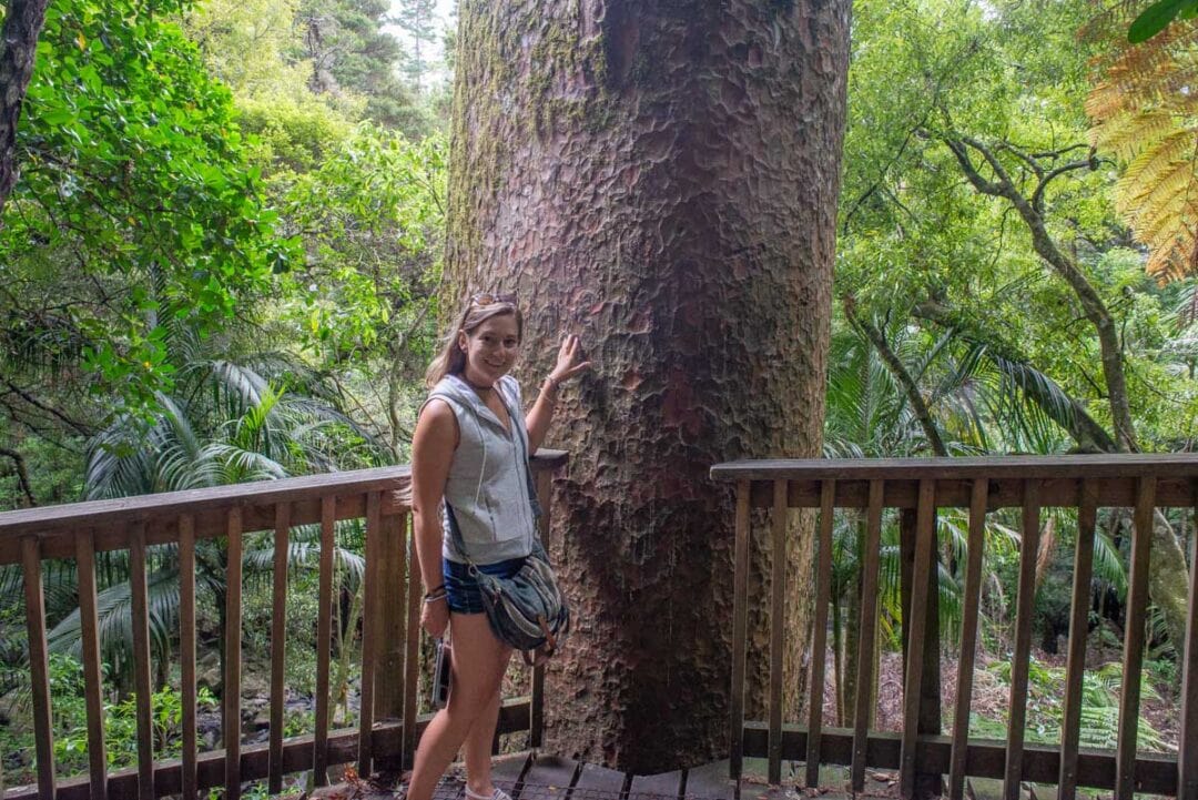 19 Best Things to do in Whangarei (COMPLETE 2025 Guide!)