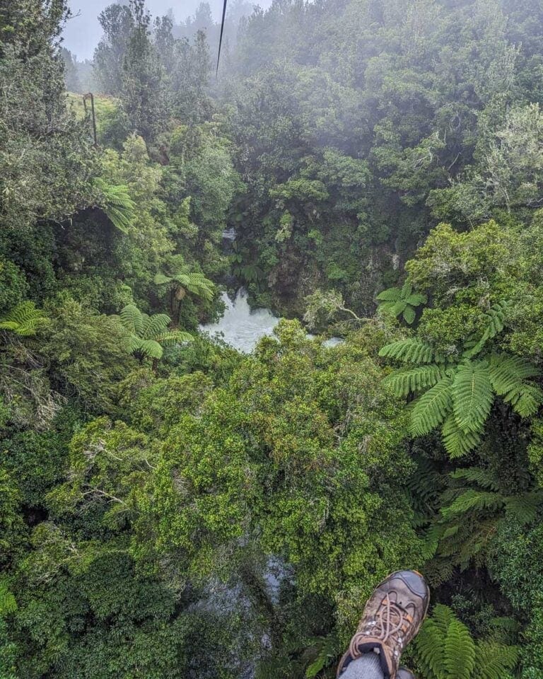 10 Things to Know BEFORE Ziplining in Rotorua +3 BEST Tours