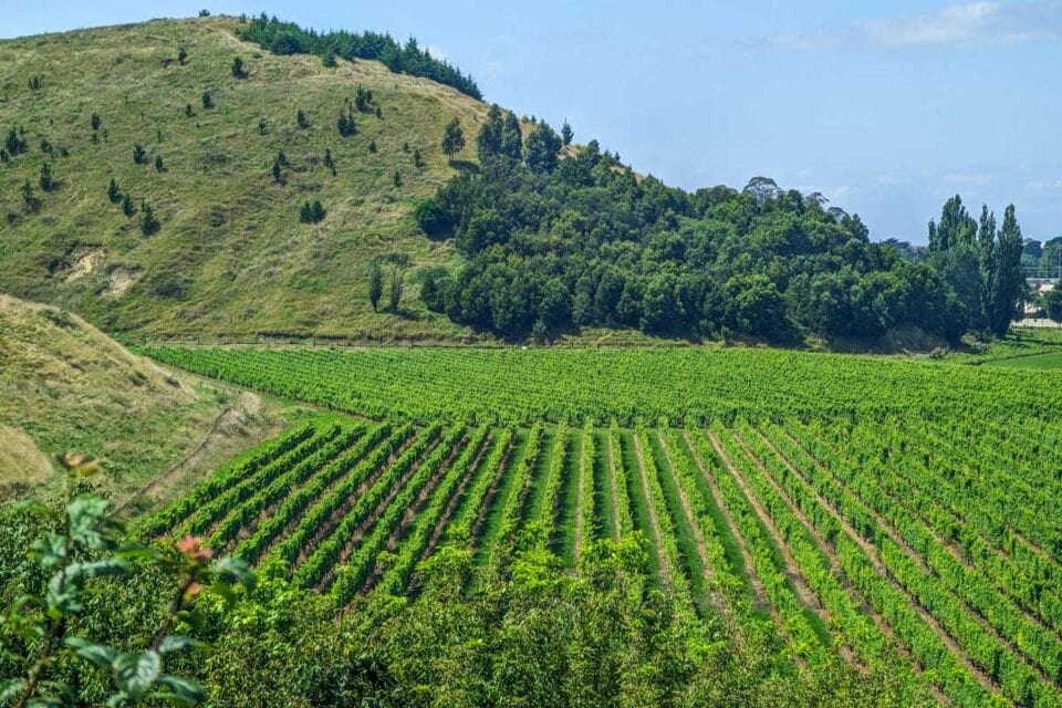 20 BEST Things to do in Hawke's Bay, New Zealand - My Queenstown Diary