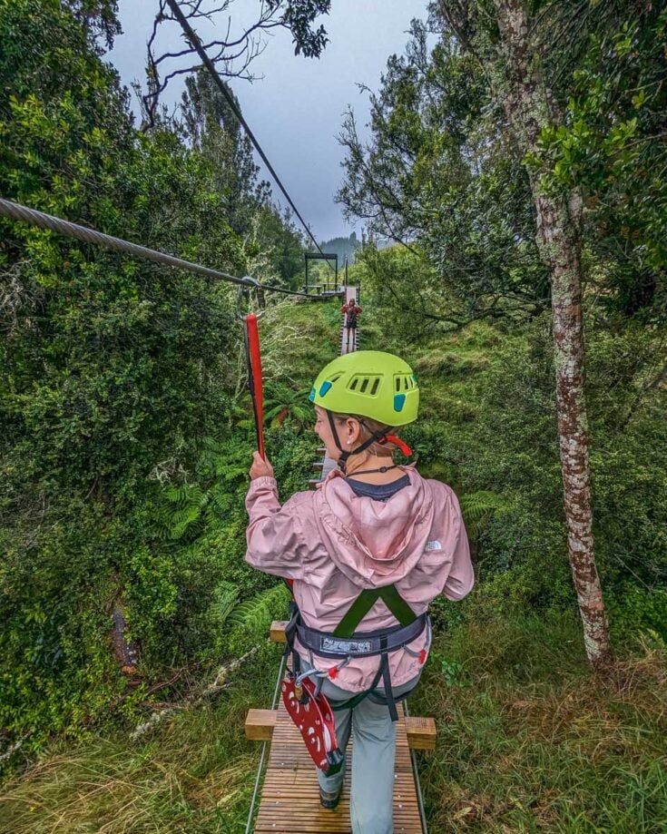 3 BEST Ziplining Tours in Rotorua - My Queenstown Diary
