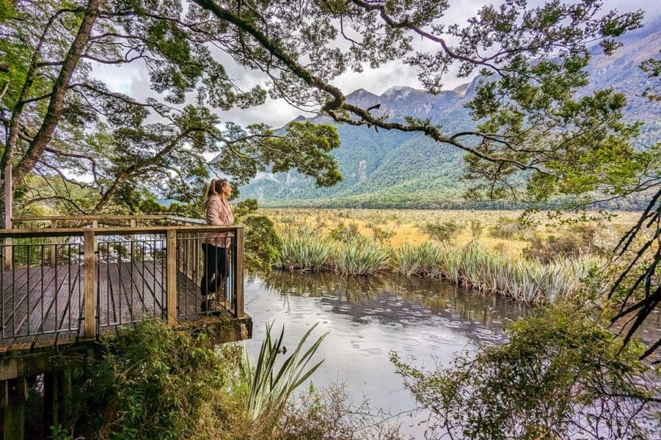 22 Epic Things to do in Fiordland National Park +COMPLETE Guide - My ...