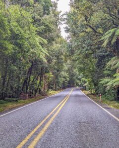 13 BEST Stops on the Drive from Auckland to Rotorua