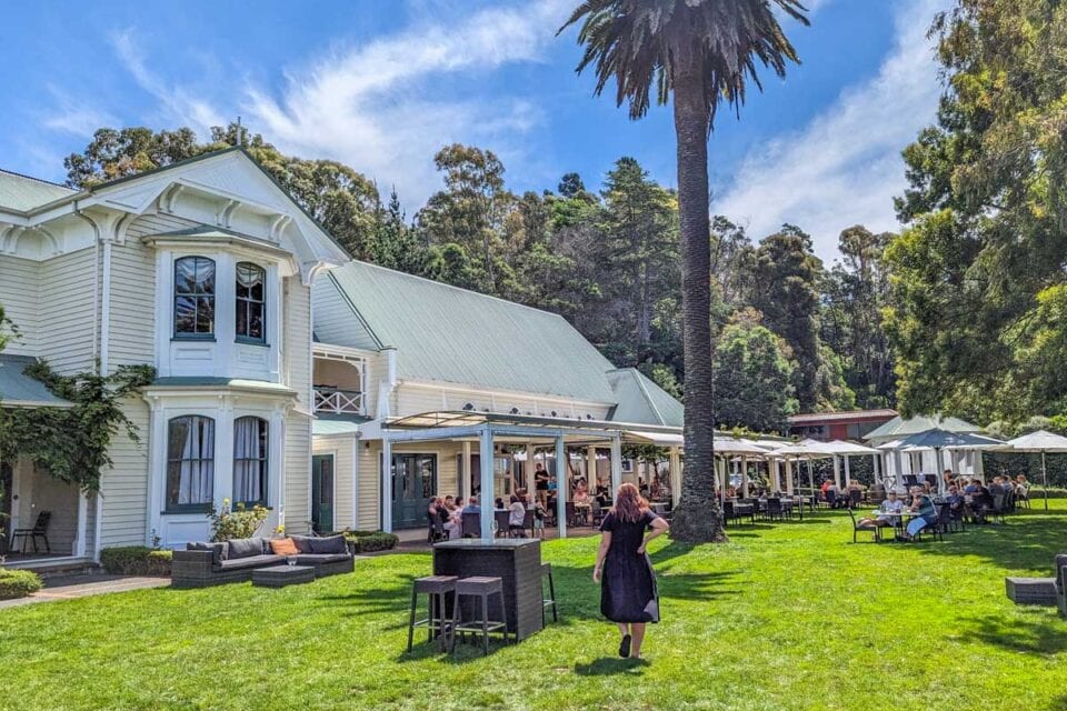 6 BEST Wine Tours in Napier +My Personal Review - My Queenstown Diary