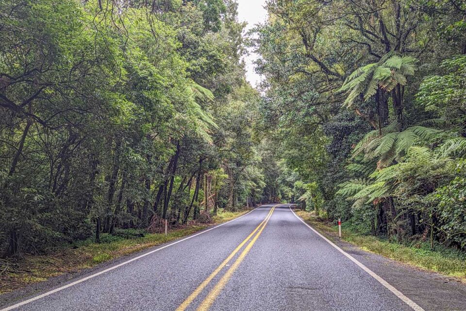 8 BEST Stops on the Drive from Tauranga to Rotorua