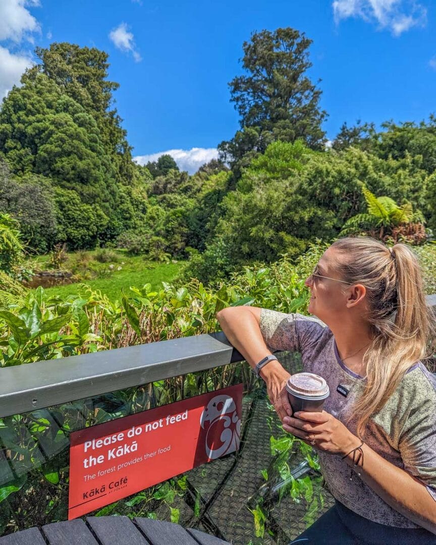 12 BEST Stops between Napier and Wellington - My Queenstown Diary