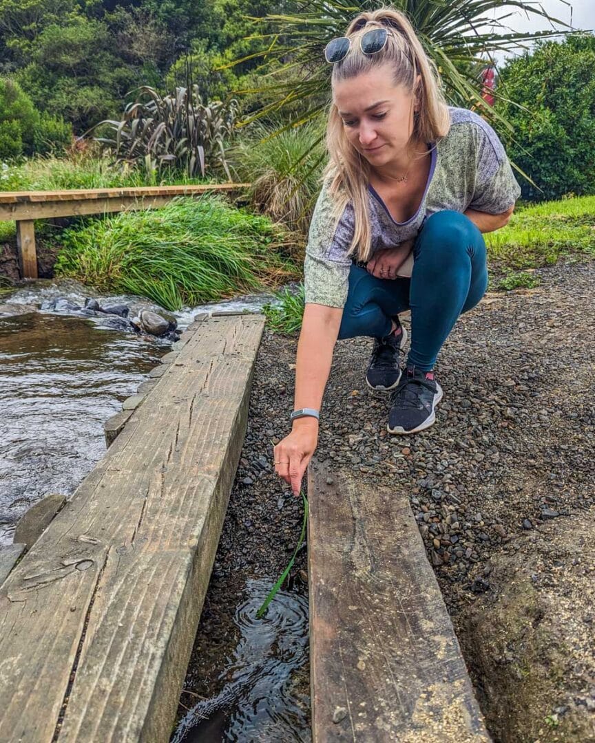 12 BEST Stops between Napier and Wellington - My Queenstown Diary