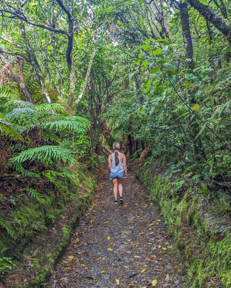 7 BEST Stops on the Drive from Taupo to Napier - My Queenstown Diary