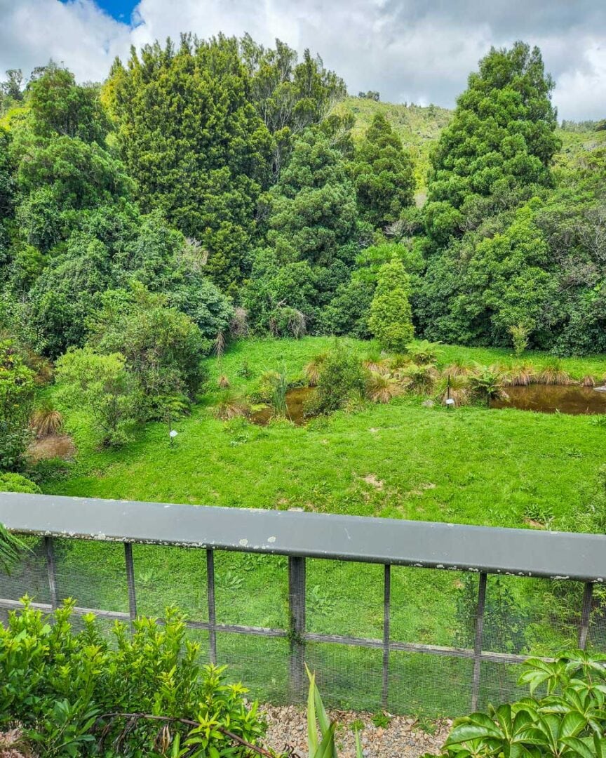 6 BEST Stops on the Drive from Palmerston North to Wellington +Choosing Your Route - My ...