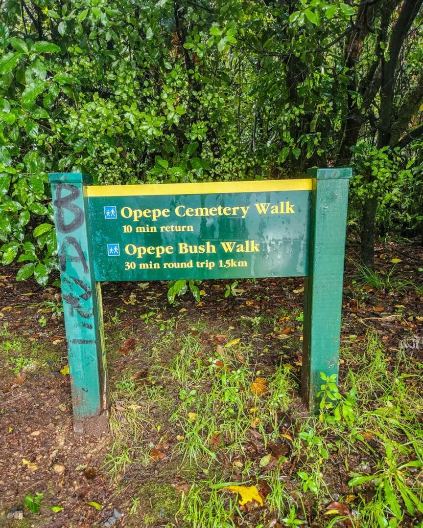 7 BEST Stops on the Drive from Taupo to Napier - My Queenstown Diary