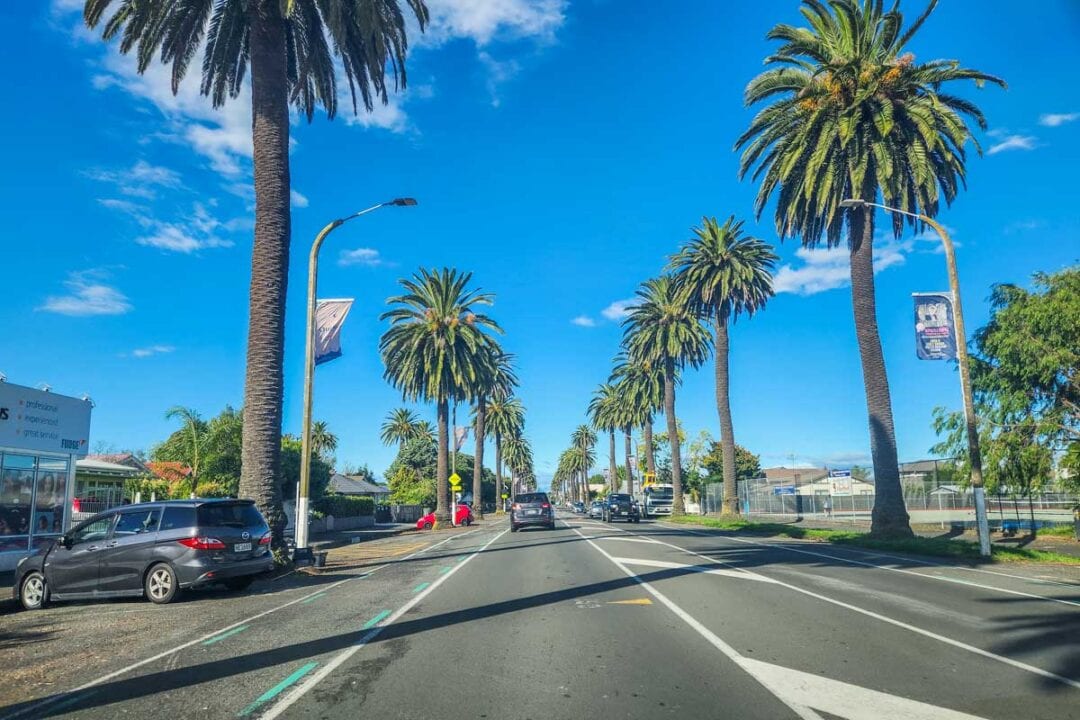 12 BEST Stops between Napier and Wellington - My Queenstown Diary