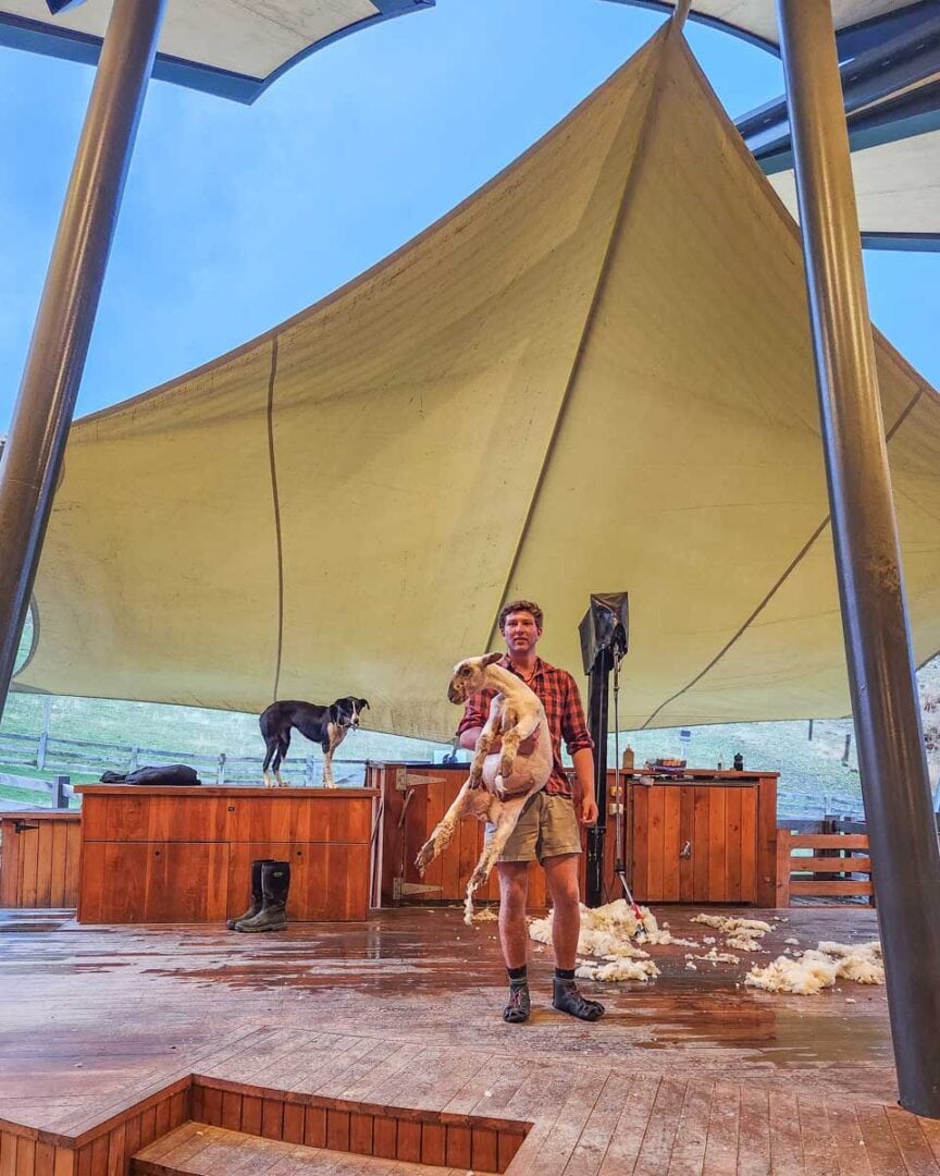 TSS Earnslaw Lunch or Dinner Cruise Review - Is it Worth it? - My Queenstown Diary