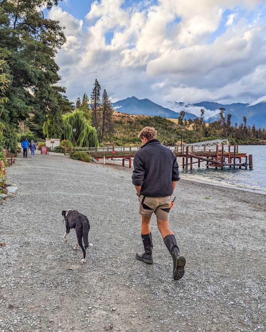 10 Things to KNOW Before Booking a Walter Peak Farm Tour, Queenstown