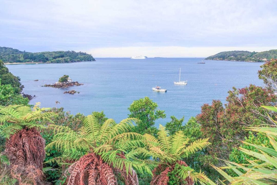 RealNZ Review (Real Journeys) - What I think of RealNZ! - My Queenstown ...