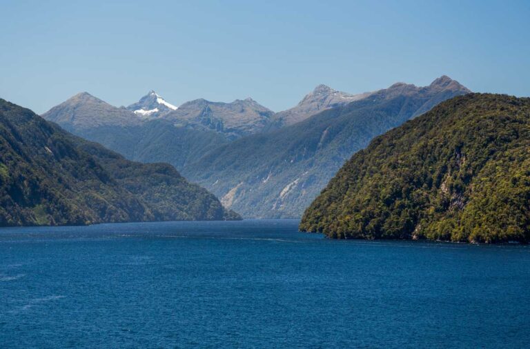 12 Things to KNOW Before Booking a Doubtful Sound Overnight Cruise