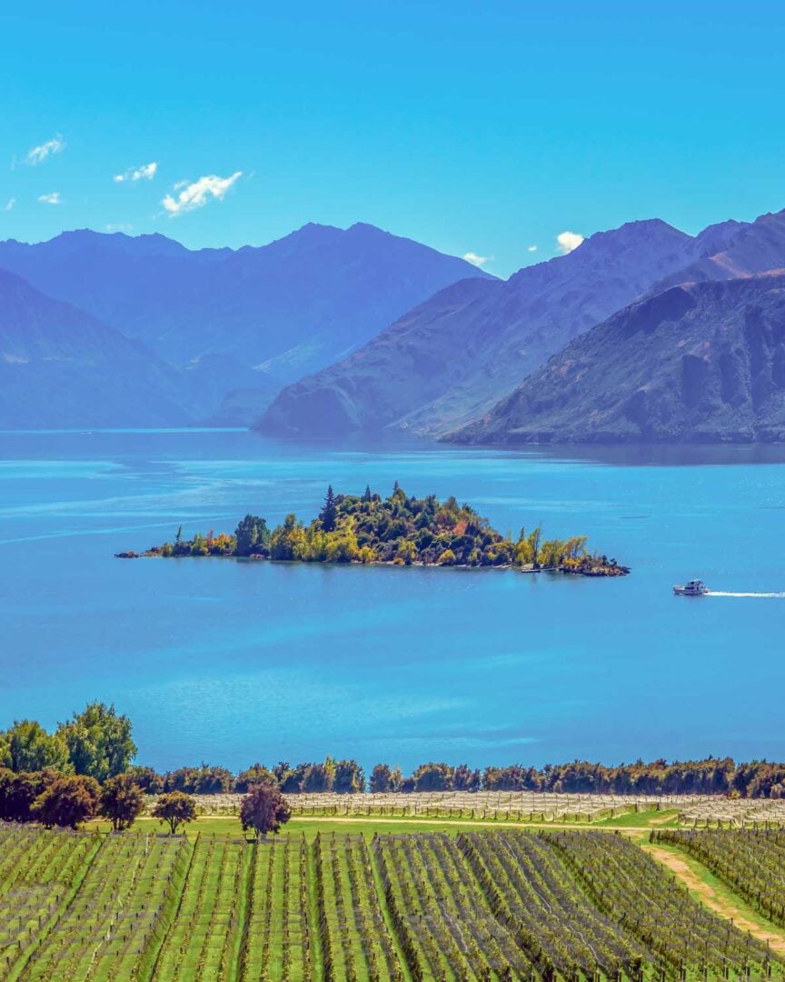 10 BEST Tours in Wanaka that You Don't Want to Miss in 2025