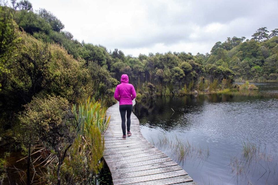 18 Best Things to Do in the Catlins, New Zealand + Guide - My Queenstown Diary