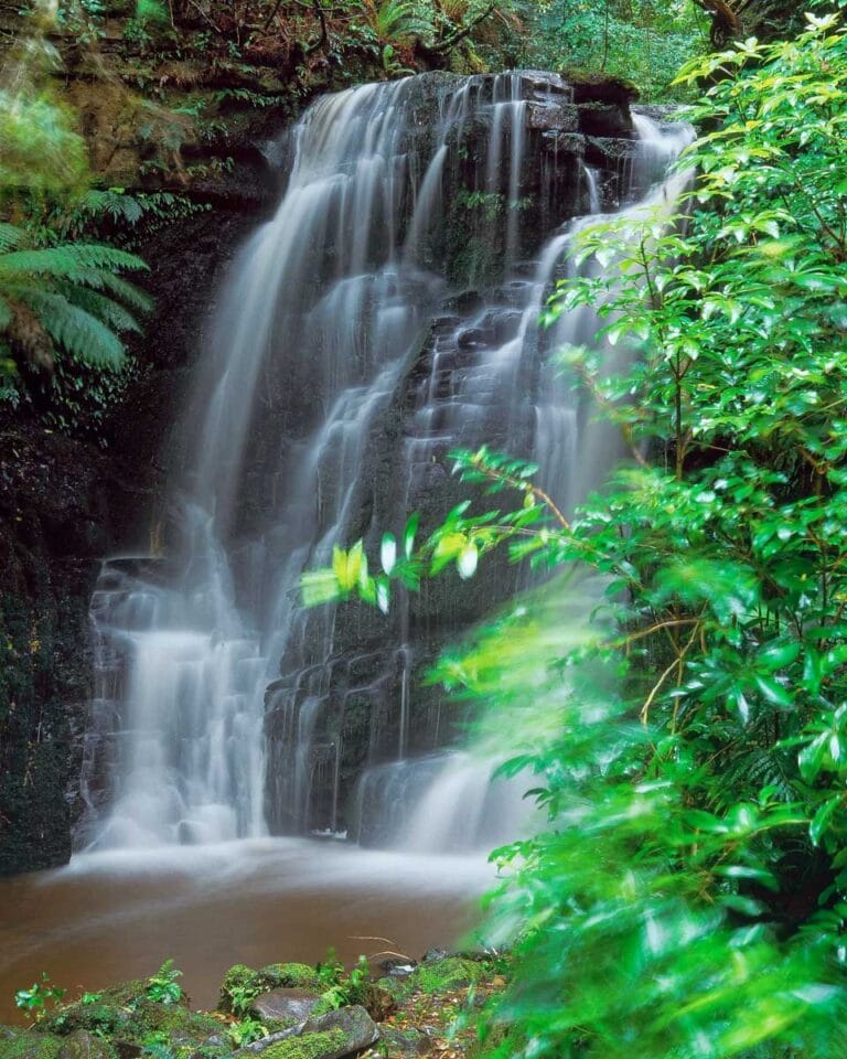 18 Best Things to Do in the Catlins, New Zealand + Guide - My Queenstown Diary