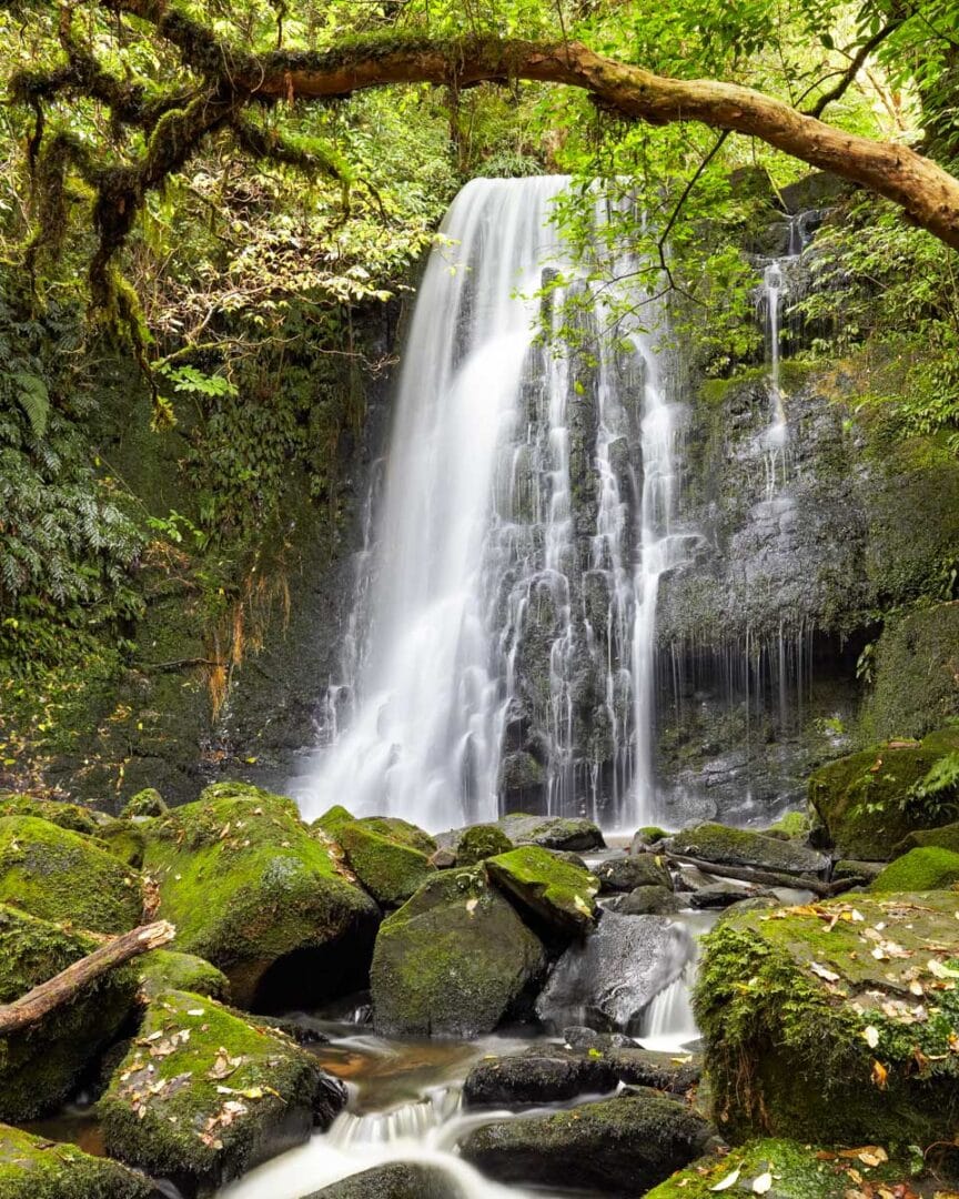 18 Best Things to Do in the Catlins, New Zealand + Guide - My Queenstown Diary