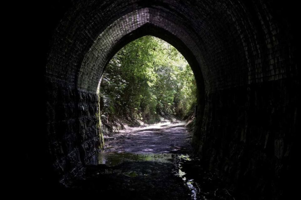 18 Best Things to Do in the Catlins, New Zealand + Guide - My Queenstown Diary