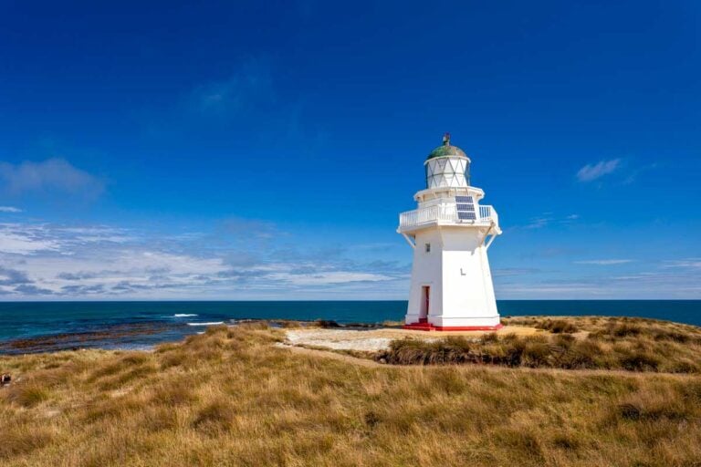 34 BEST Things to do in Nelson, New Zealand (2025 Guide!) - My ...