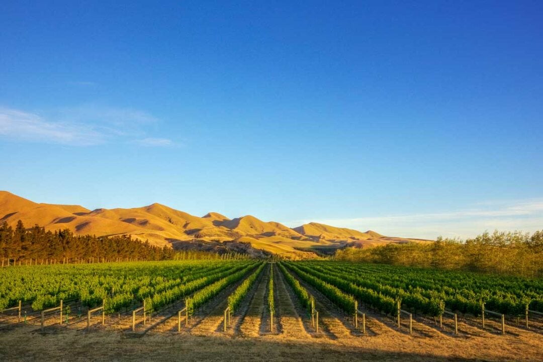 Is Christchurch Worth Visiting? - My Queenstown Diary