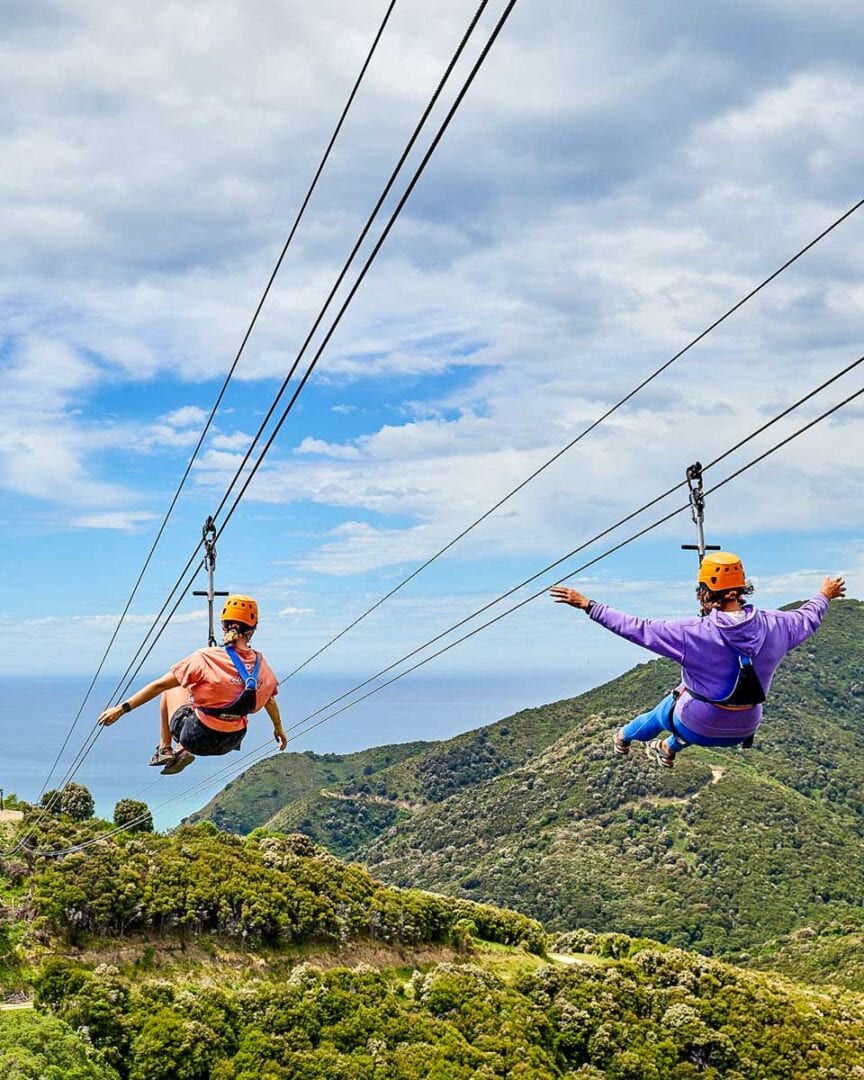 5 Best Things to do in Kaikoura, New Zealand - My Queenstown Diary